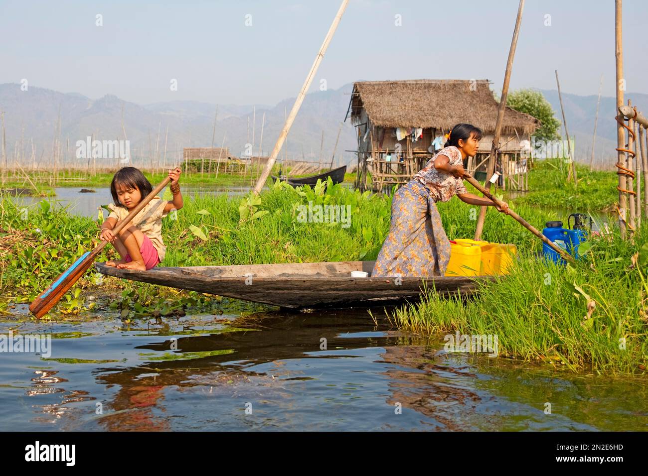Working with canoes in floating fields, single-leg rowers, Inle Lake ...