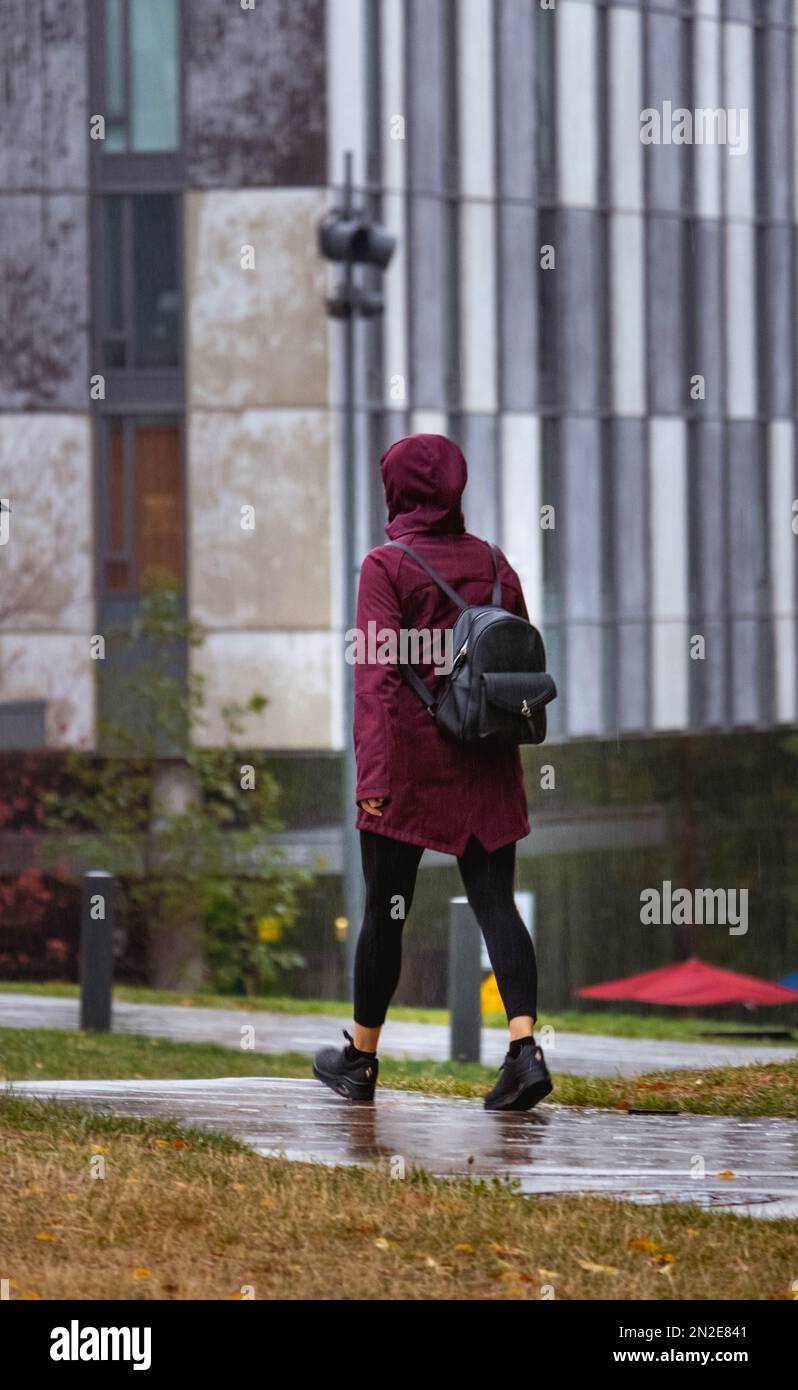A back view of person walking in street Stock Photo - Alamy