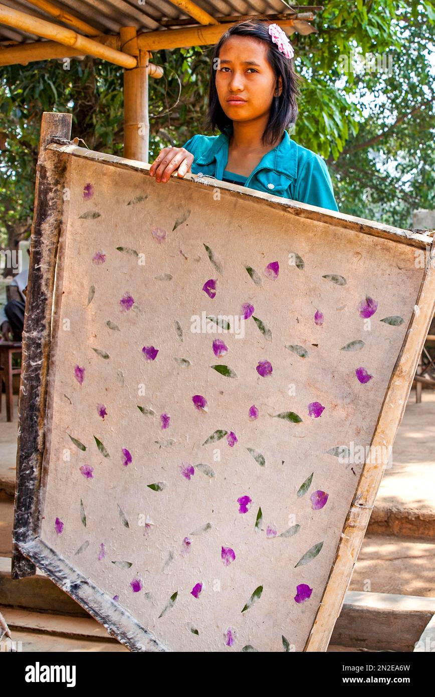 Paper and umbrella factory, Myanmar, Pindaya, Myanmar Stock Photo - Alamy