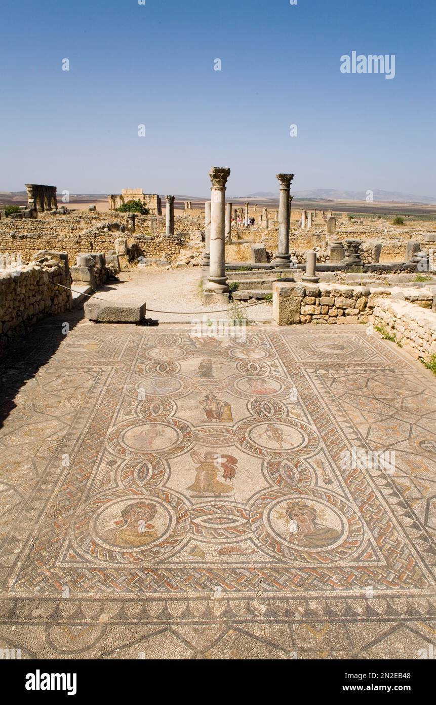 Bacchius hi-res stock photography and images - Alamy