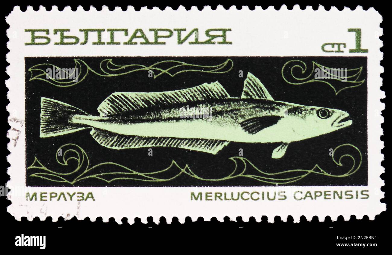 MOSCOW, RUSSIA - FEBRUARY 4, 2023: Postage stamp printed in Bulgaria ...