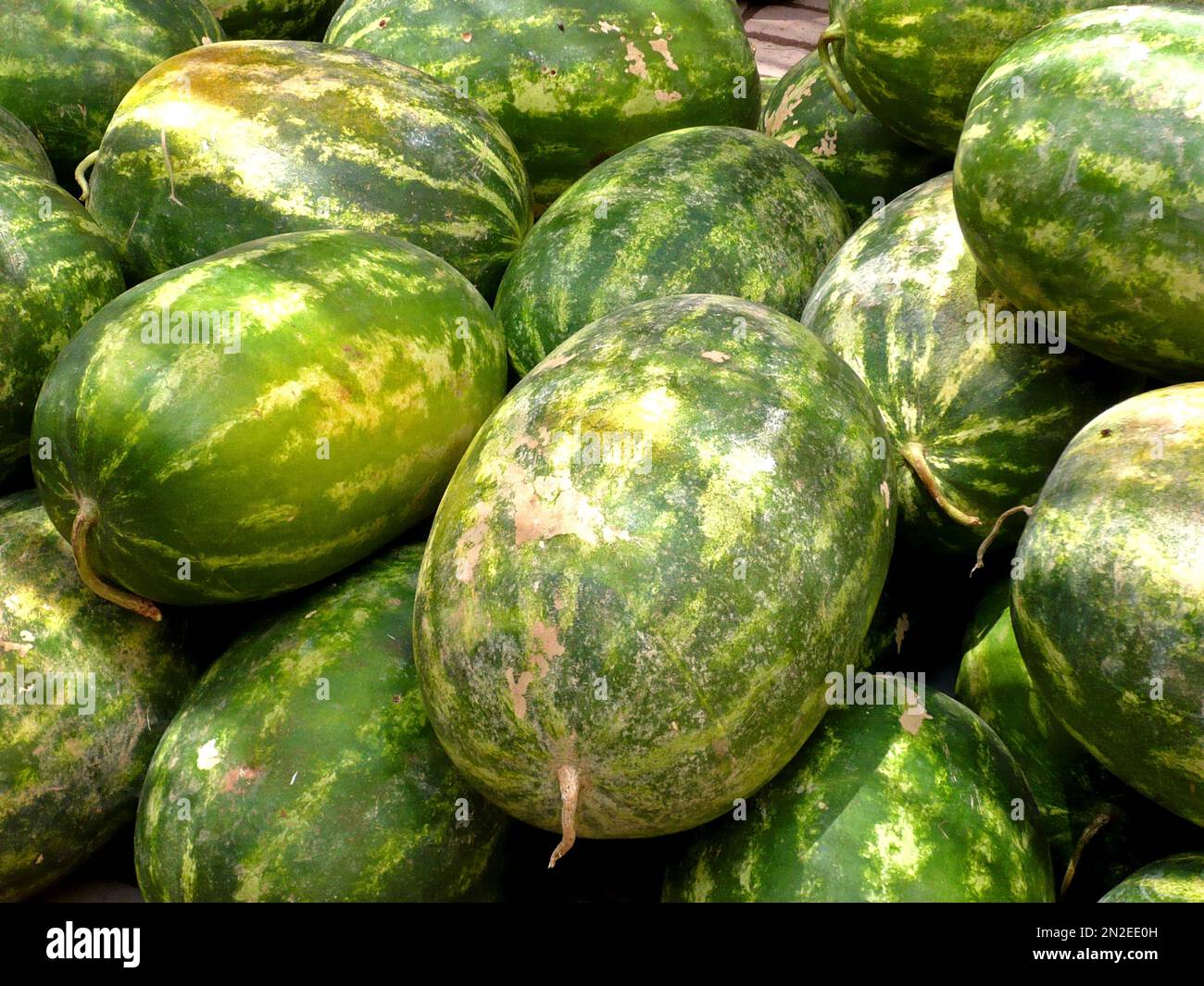 El melon hi-res stock photography and images - Alamy
