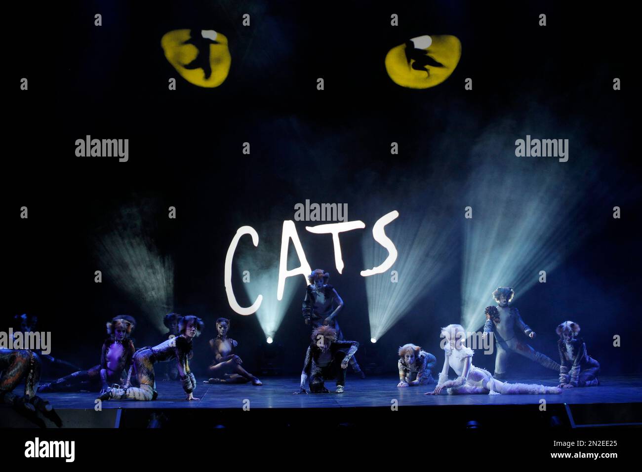 Performers in cat costumes dance during a press presentation to promote ...