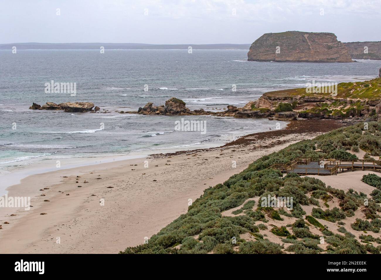 Seal Bay, Kangaroo Island Stock Photo - Alamy