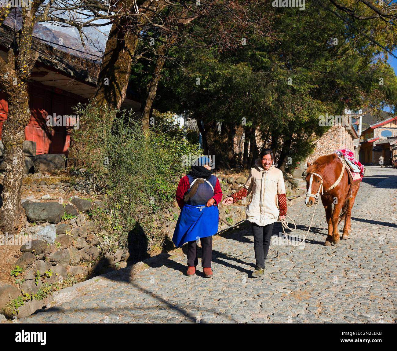 Two local woman walking a horse through Yu Wu Village, Yunnan Province ...