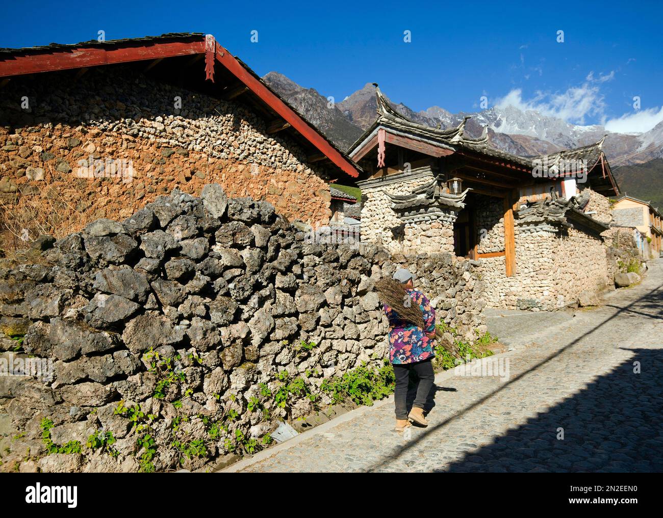 A resident carries brushwood home, in the background an eastern ...