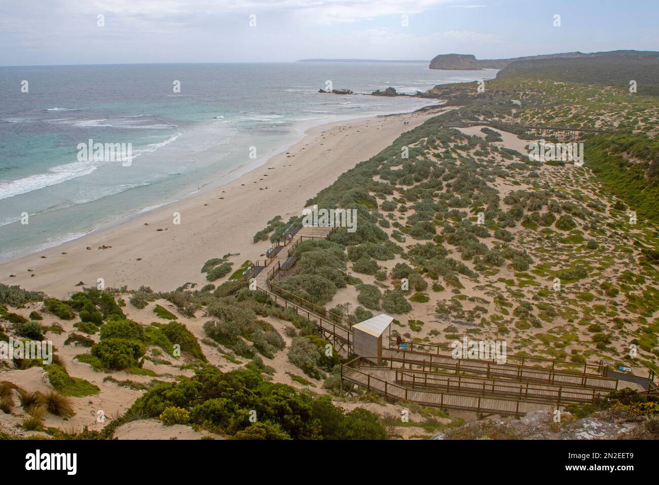 Seal Bay, Kangaroo Island Stock Photo - Alamy