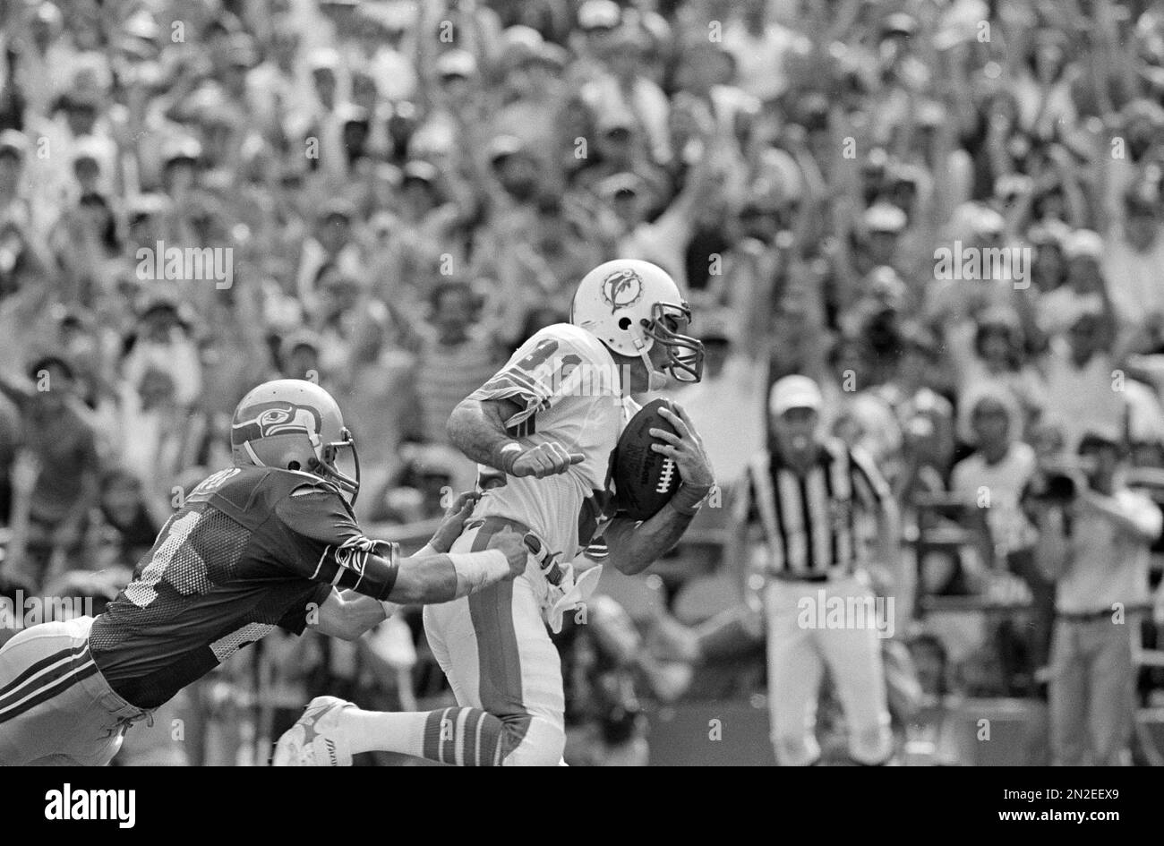 Miami Dolphins wide receiver Jimmy Cefalo (81) catches a Dan Marino ...