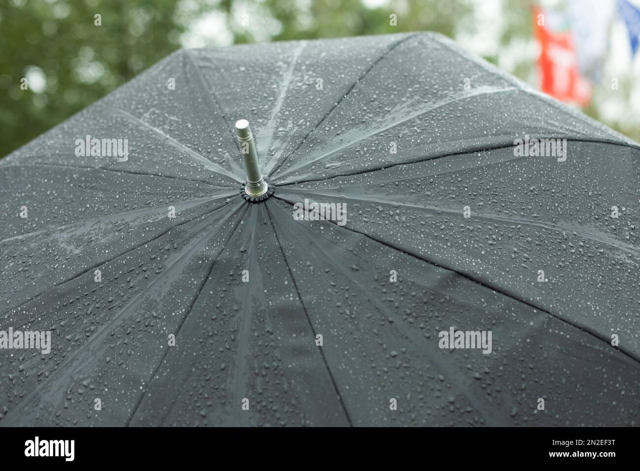 Black umbrella in rain. Large umbrella in bad weather. Raindrops on ...