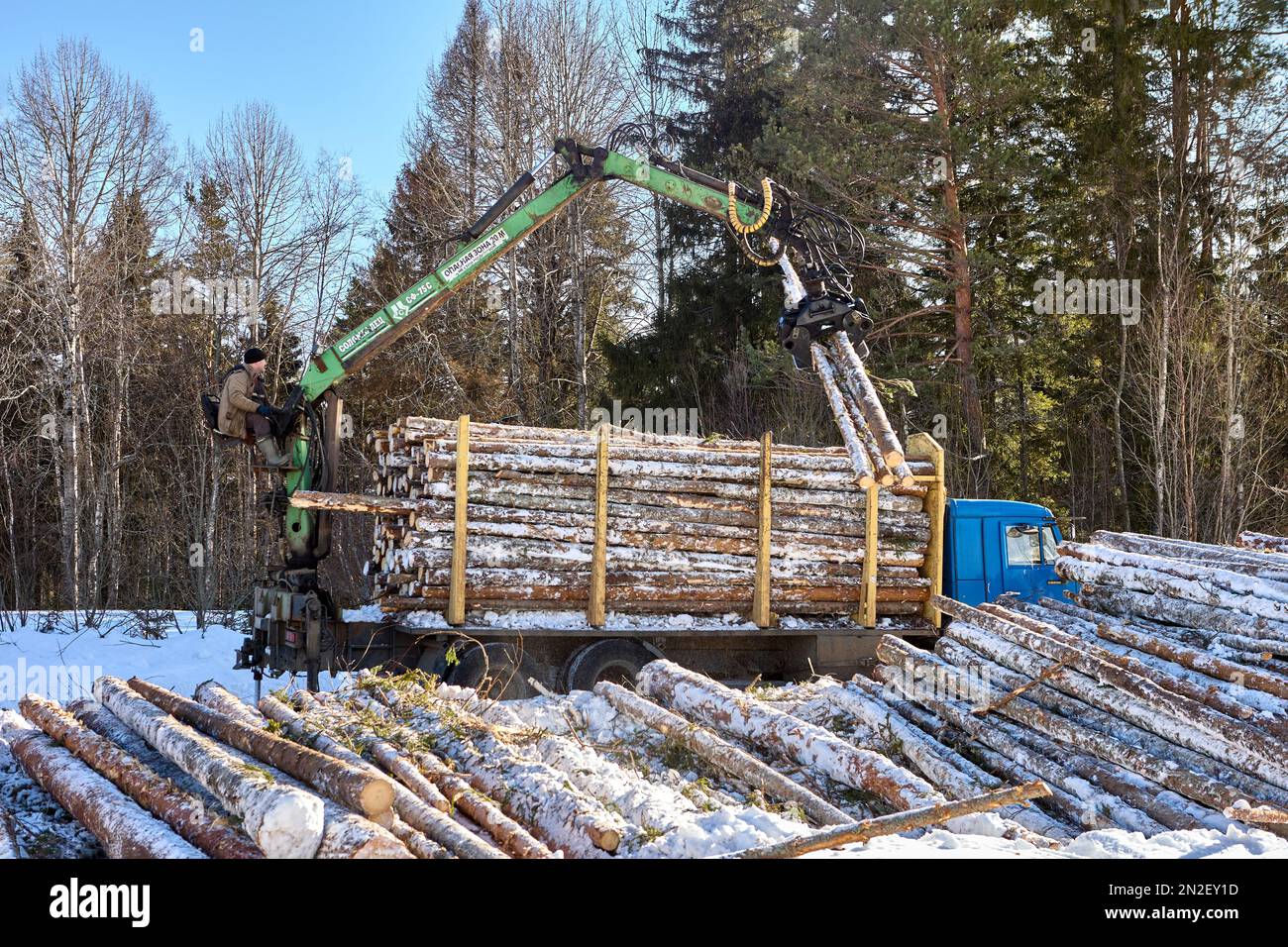 Hydraulic gripper attached at rear of self loading forestry truck grabs ...