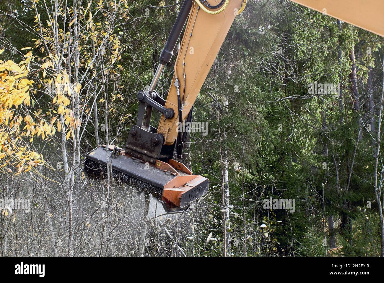 Excavator forestry mulcher hi-res stock photography and images - Alamy