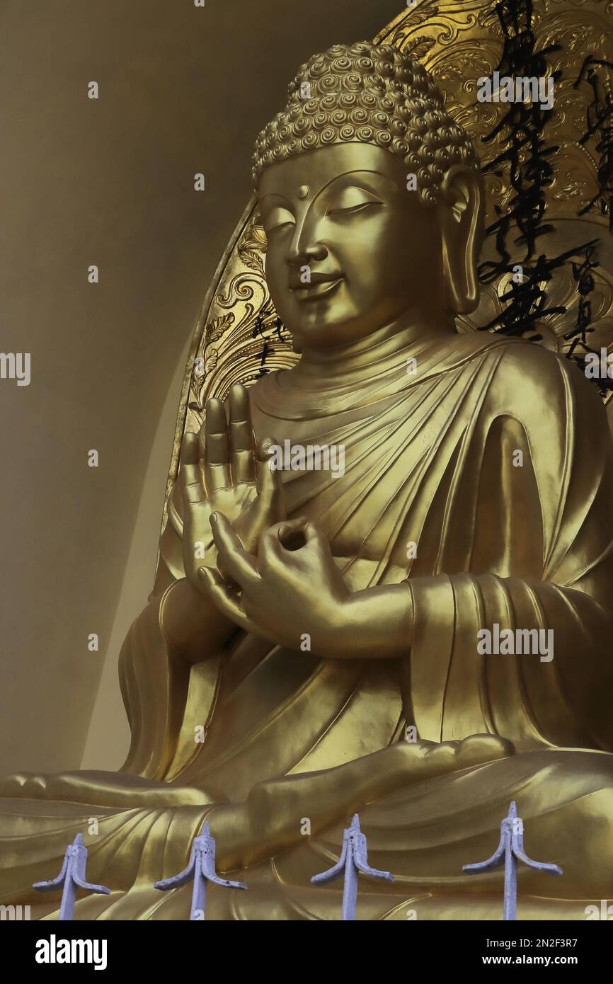 beautiful golden color lord buddha statue of japanese peace pagoda at ...