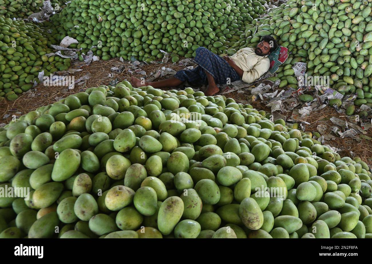 Indian National Fruit