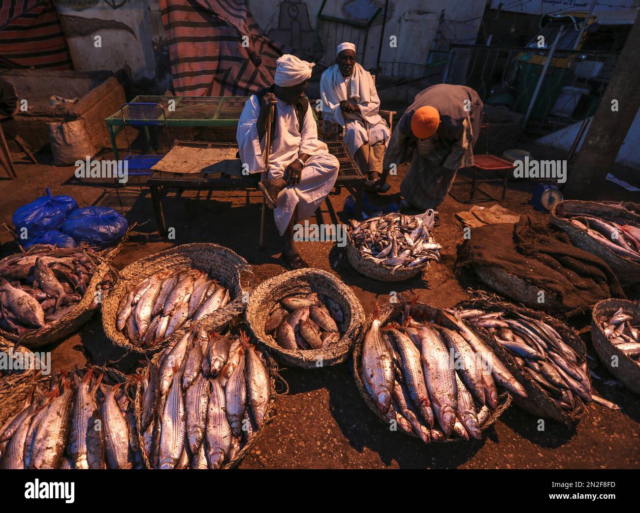 In this Thursday, April 16, 2015 photo, a Sudanese fisherman display ...