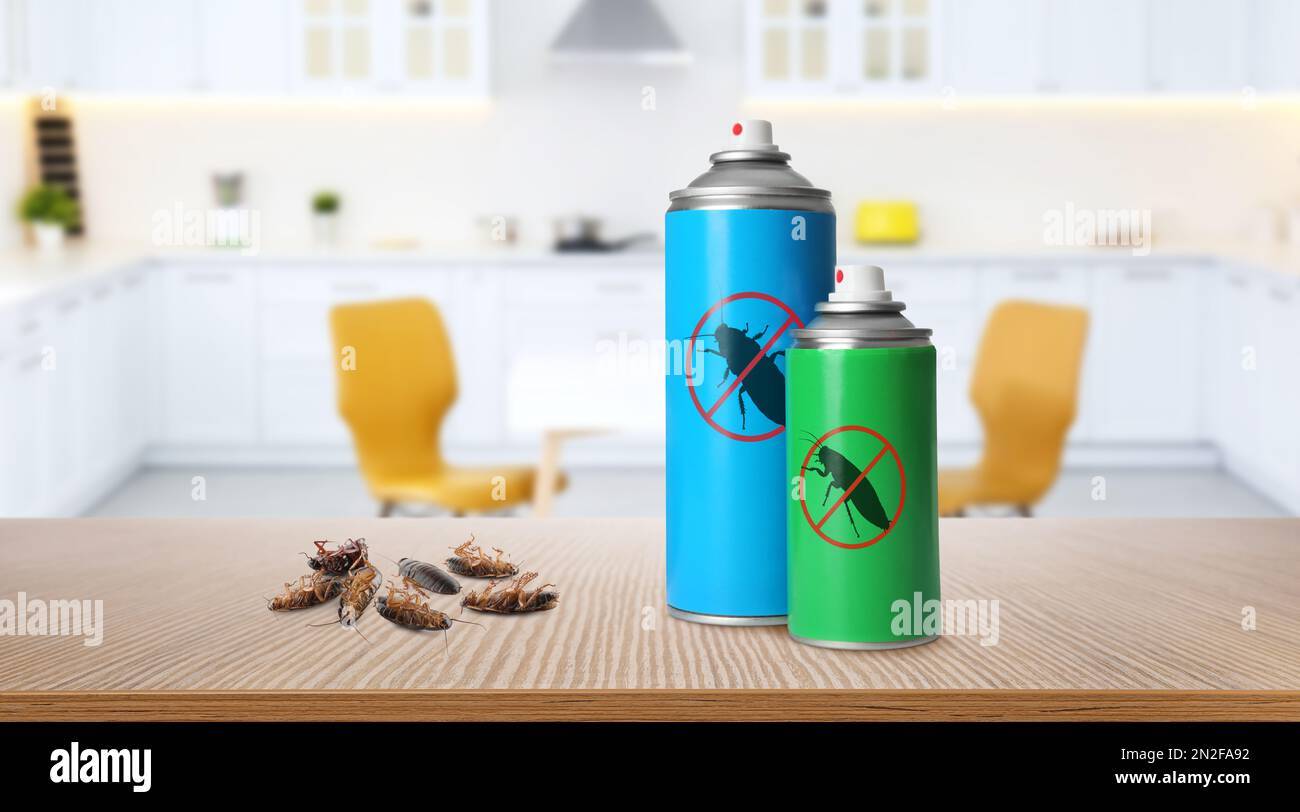 Cockroaches kitchen hi-res stock photography and images - Alamy