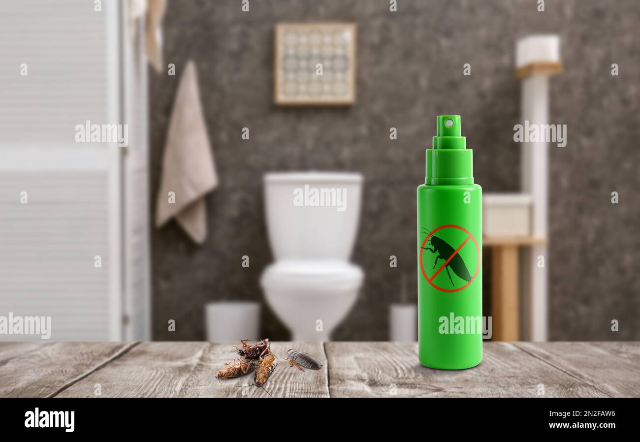 Pest control. Insecticide and dead cockroaches on table in bathroom ...
