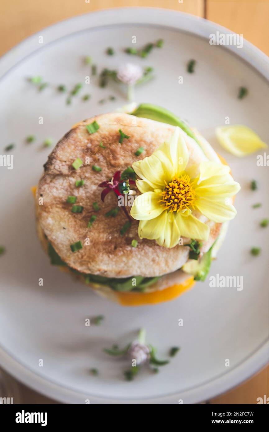 Whole wheat toasted bread with avocado, poached egg, pea sprouts and ...