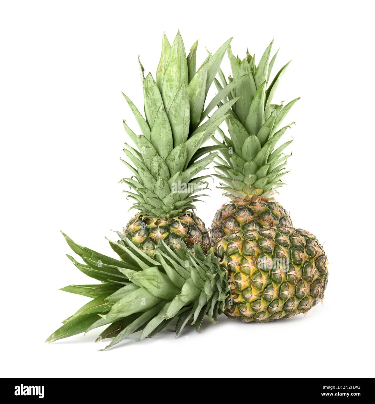 Pineapples leaves Cut Out Stock Images & Pictures - Alamy