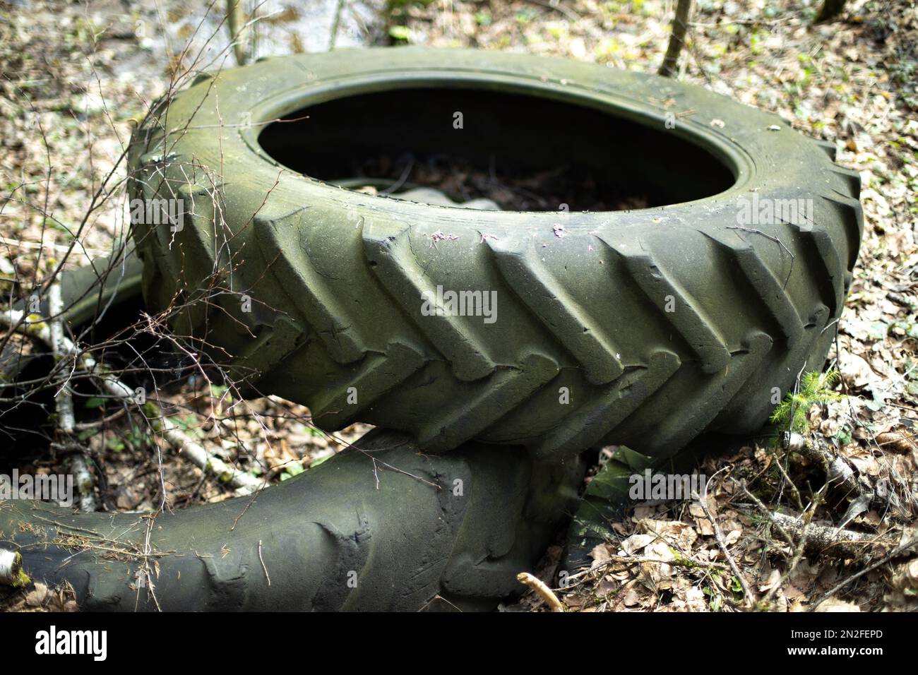 Tire dump in woods. Waste in nature. Wheels from trucks. Rubber tires are discarded Stock Photo ...