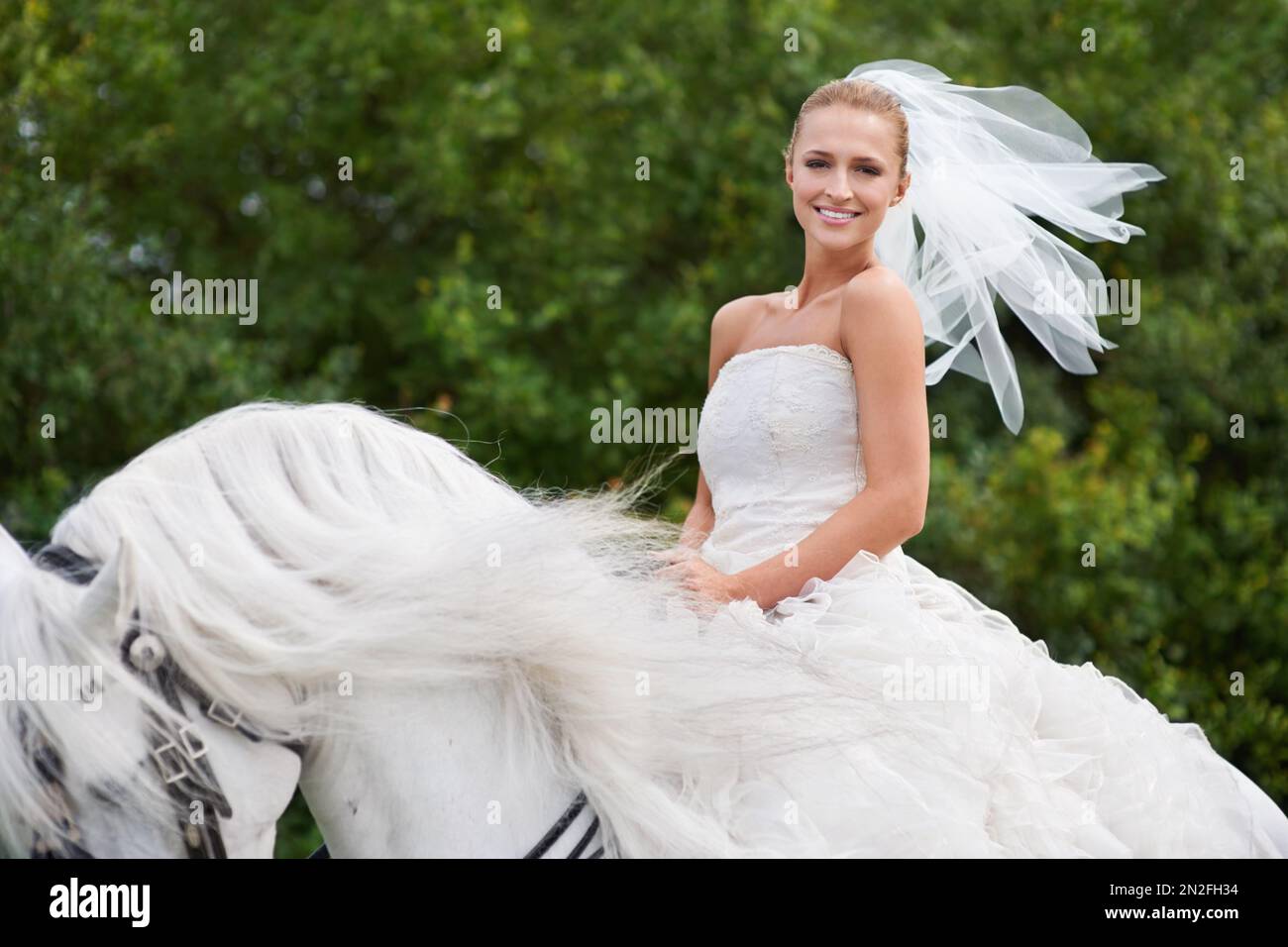 Riding to meet her white knight on the special day. A gorgeous young ...