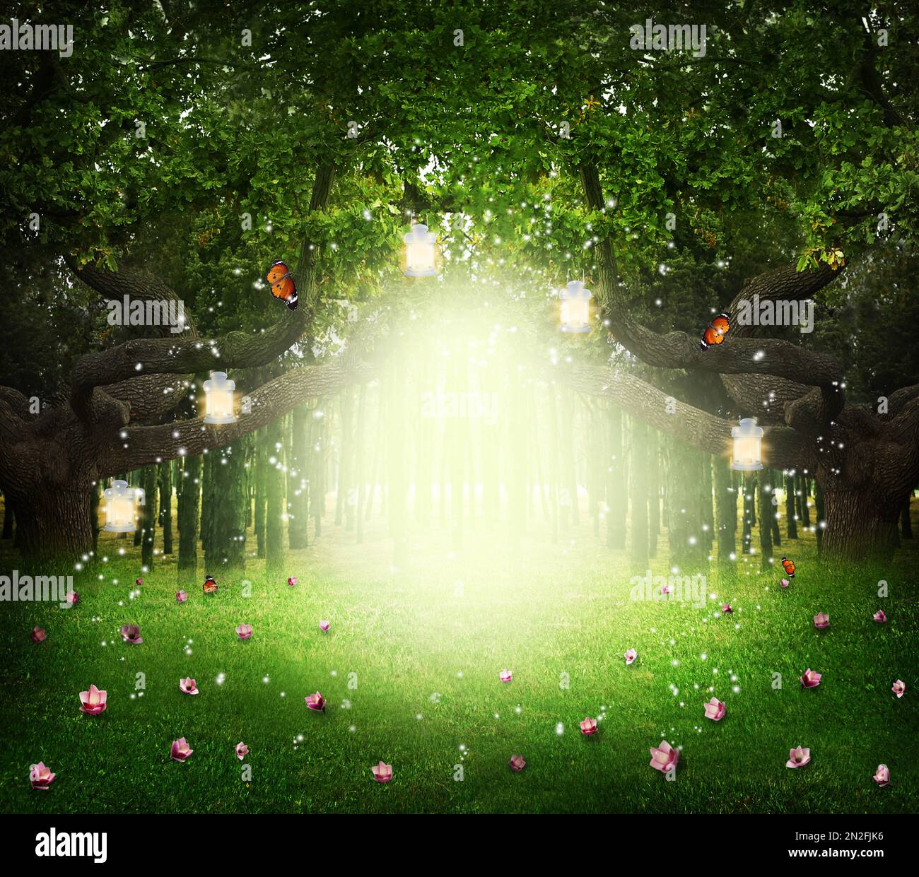 Fantasy world. Enchanted forest with magic lights, beautiful ...