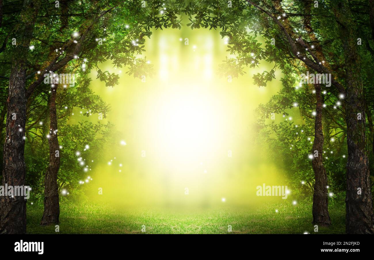 Fairy lights between trees hi-res stock photography and images - Alamy