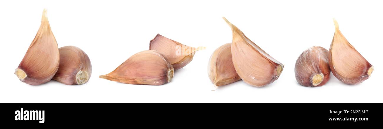 Set of fresh garlic cloves on white background. Banner design Stock ...