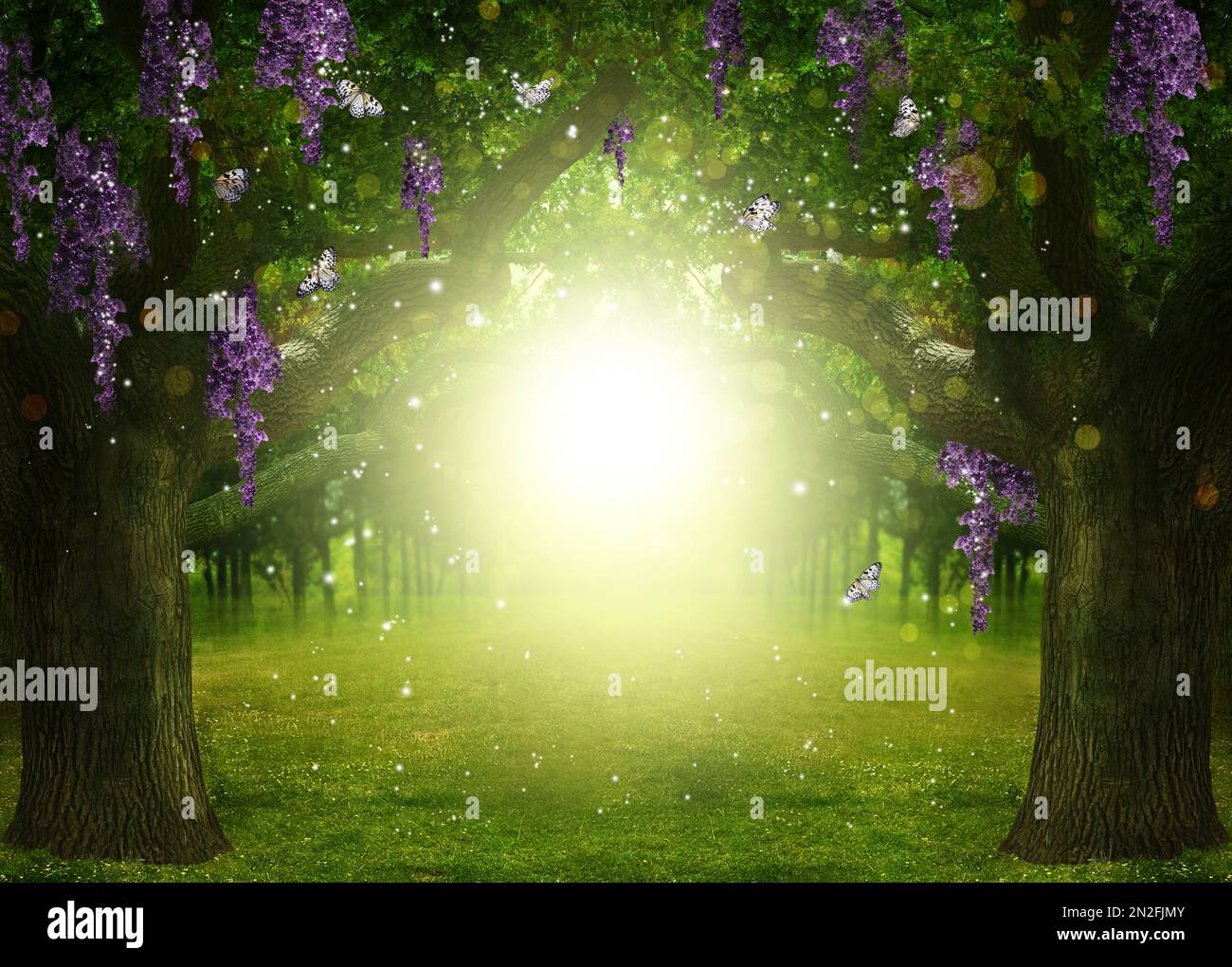 Fantasy world. Enchanted forest with beautiful butterflies, magic ...