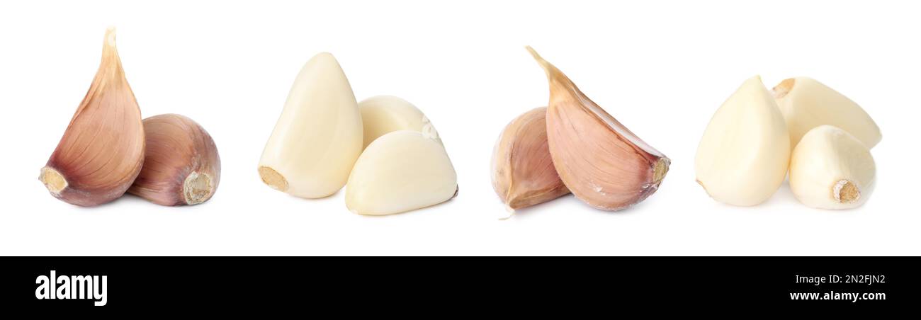 Set of fresh garlic cloves on white background. Banner design Stock ...
