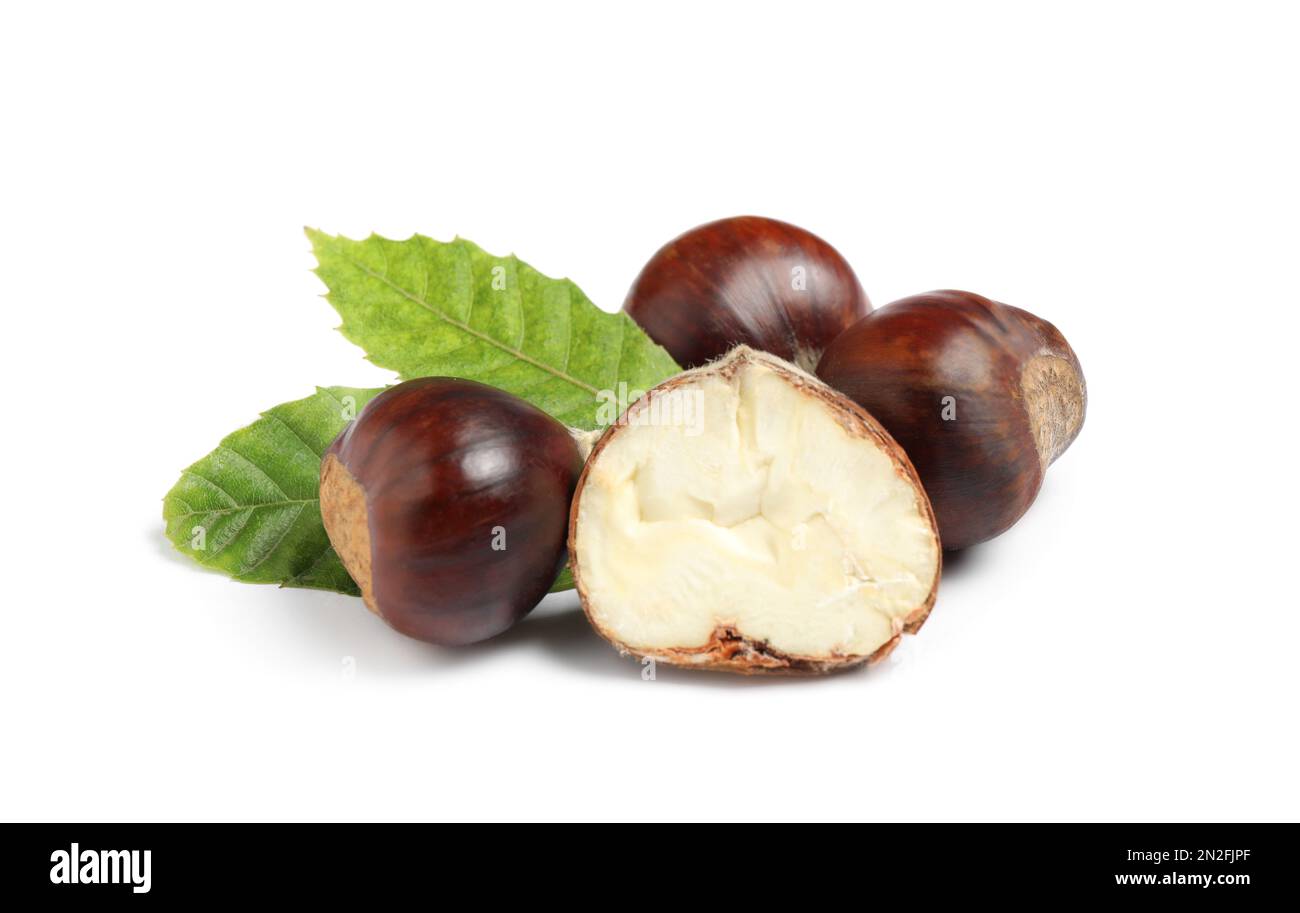 Fresh sweet edible chestnuts with green leaves on white background ...