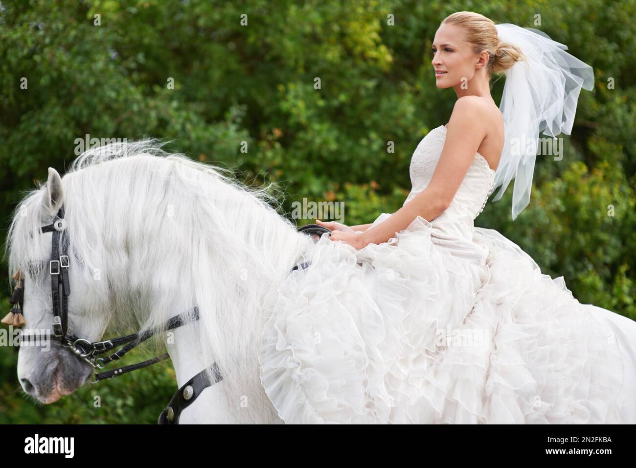 Riding to meet her white knight on the special day. A gorgeous young ...