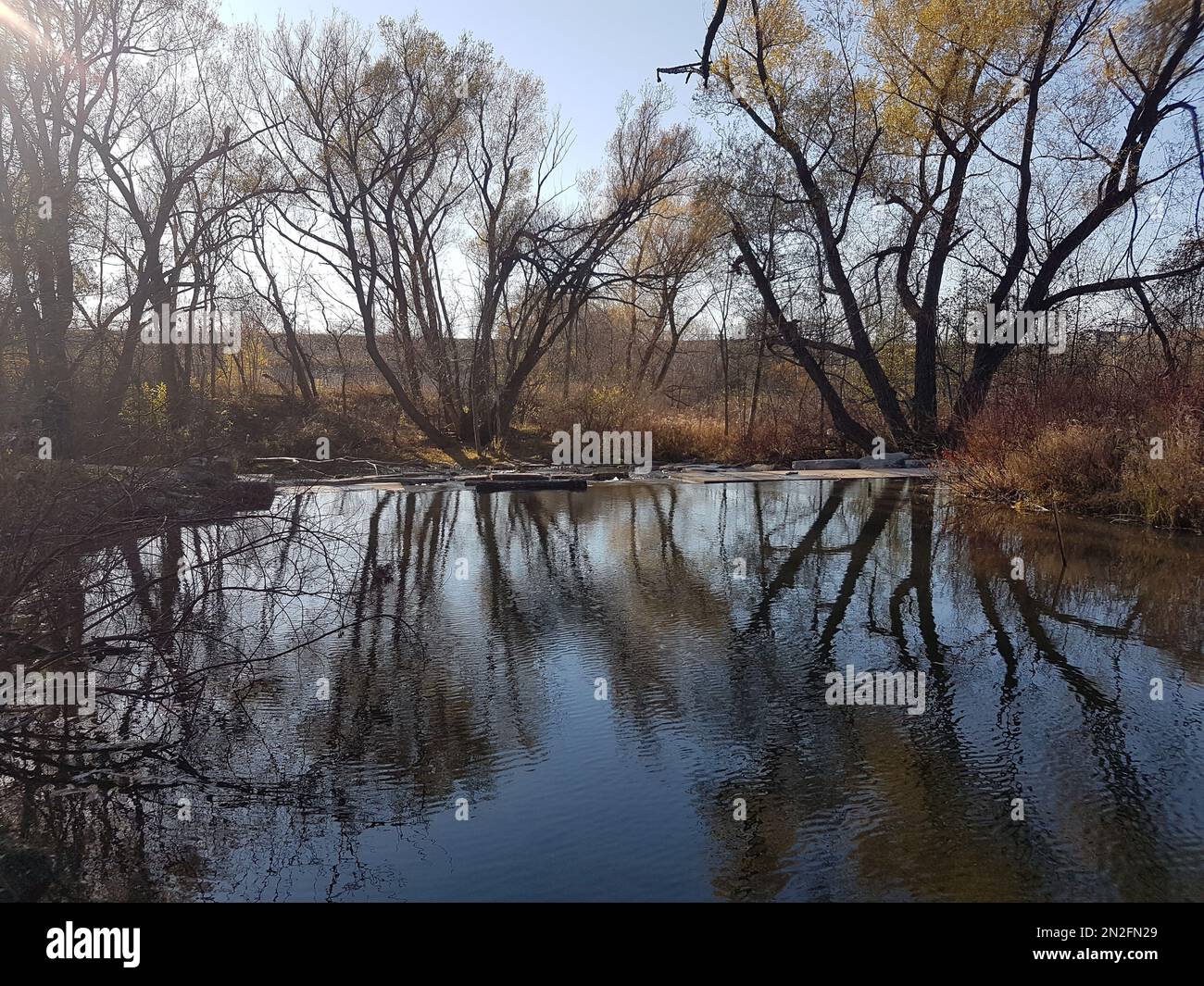 A landscape scene of autumn trees around the Milton Pond with blue sky ...