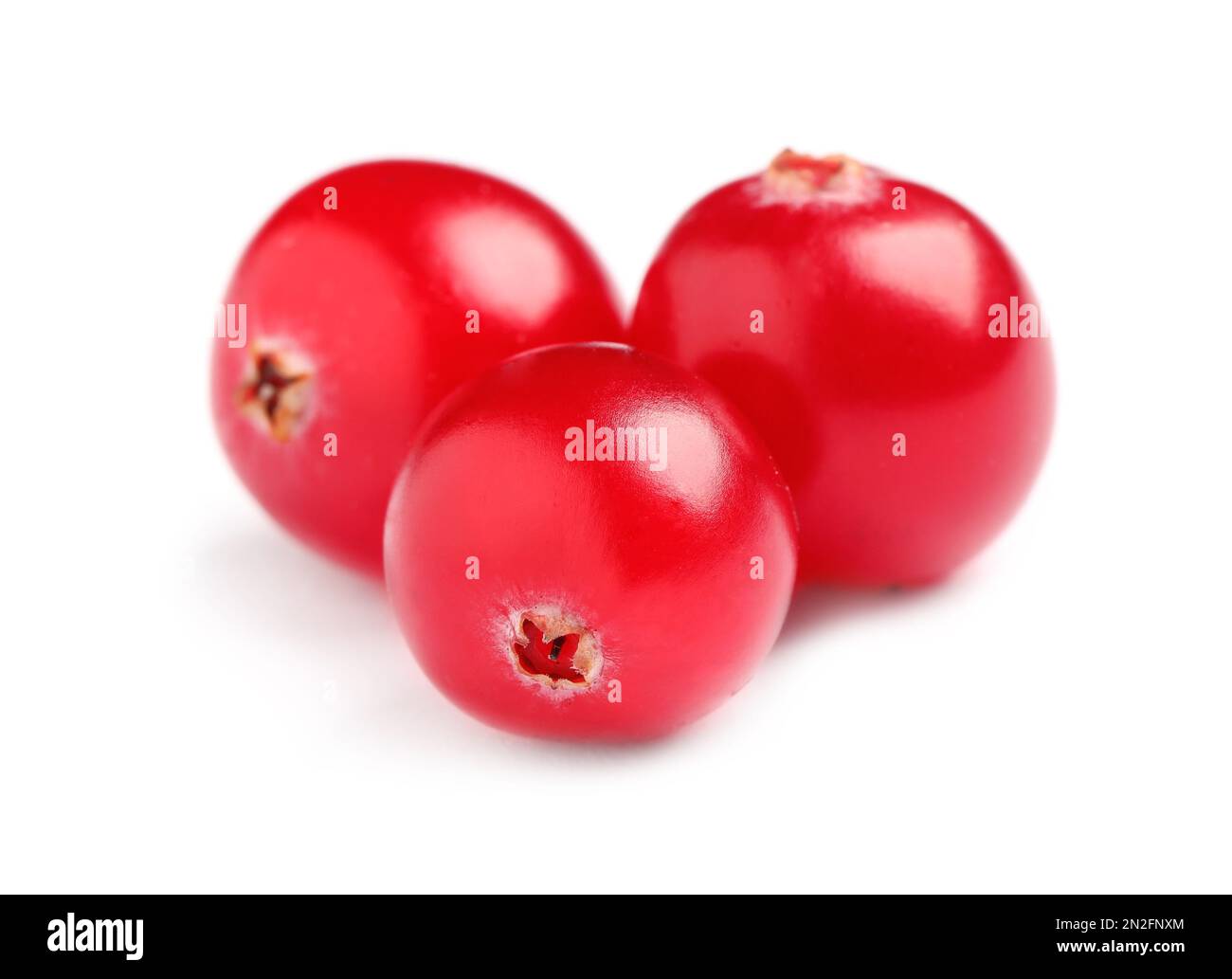 Cranberries background texture hi-res stock photography and images - Alamy