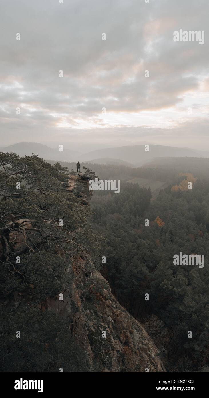 An aerial view of cliff edge surrounded by dense trees Stock Photo - Alamy