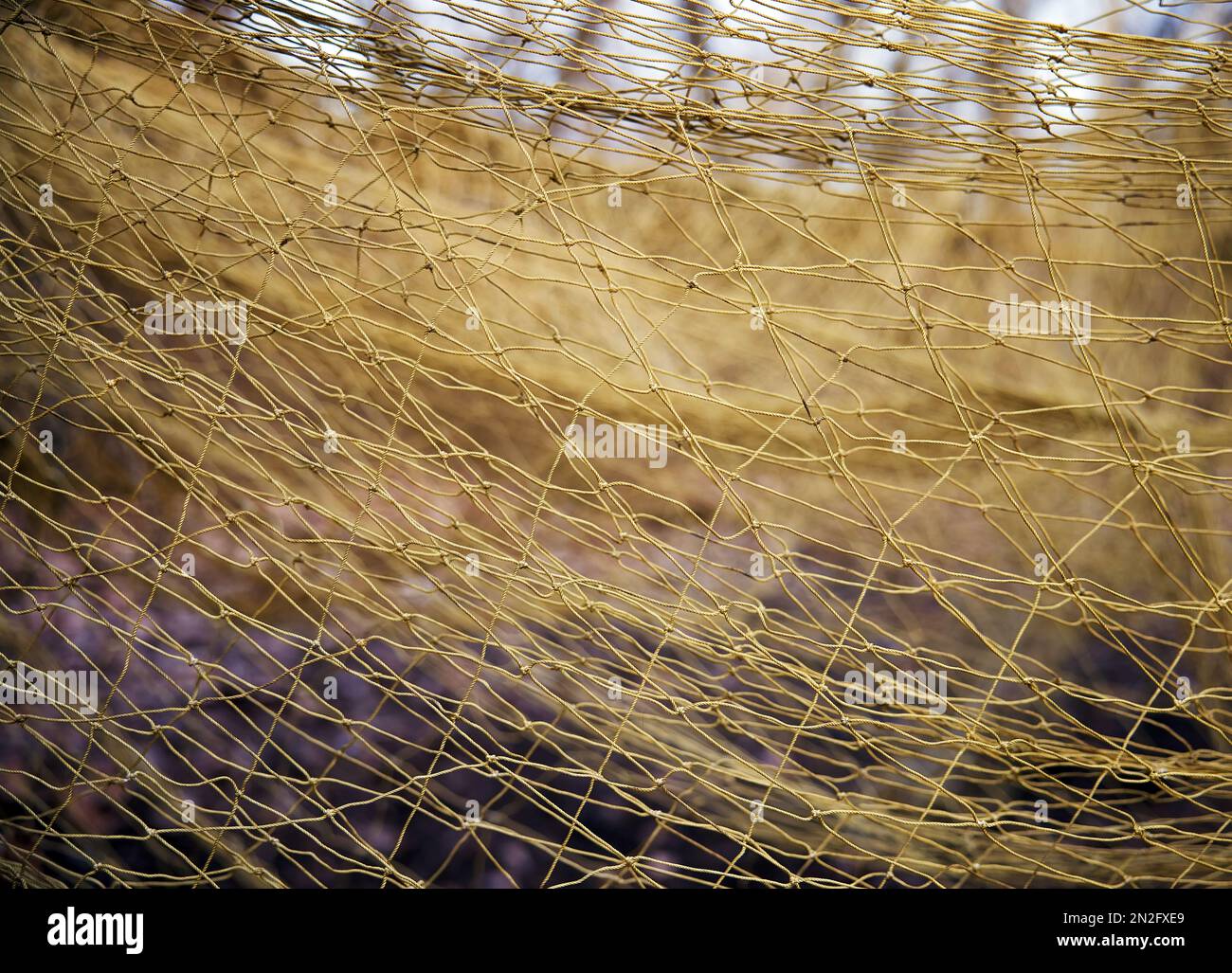 Nets for catching wild animals in the forest. Trapping game animals ...