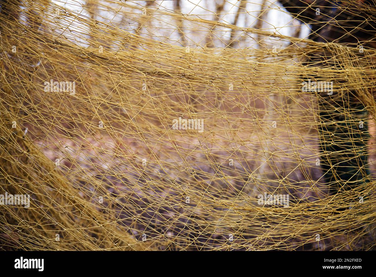 Nets for catching wild animals in the forest. Trapping game animals ...