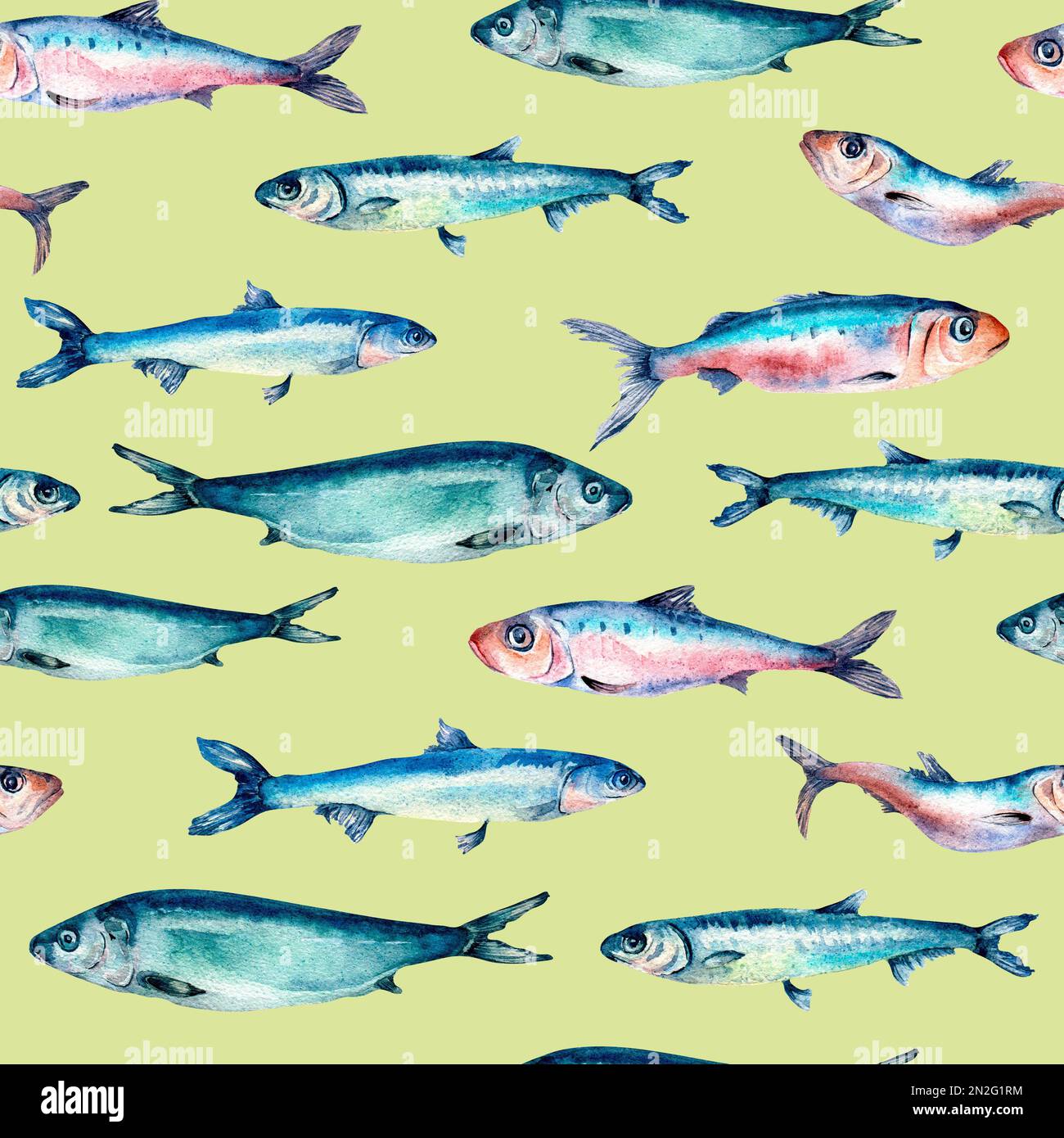 Sea fish horizontally seamless pattern watercolor isolated on green ...