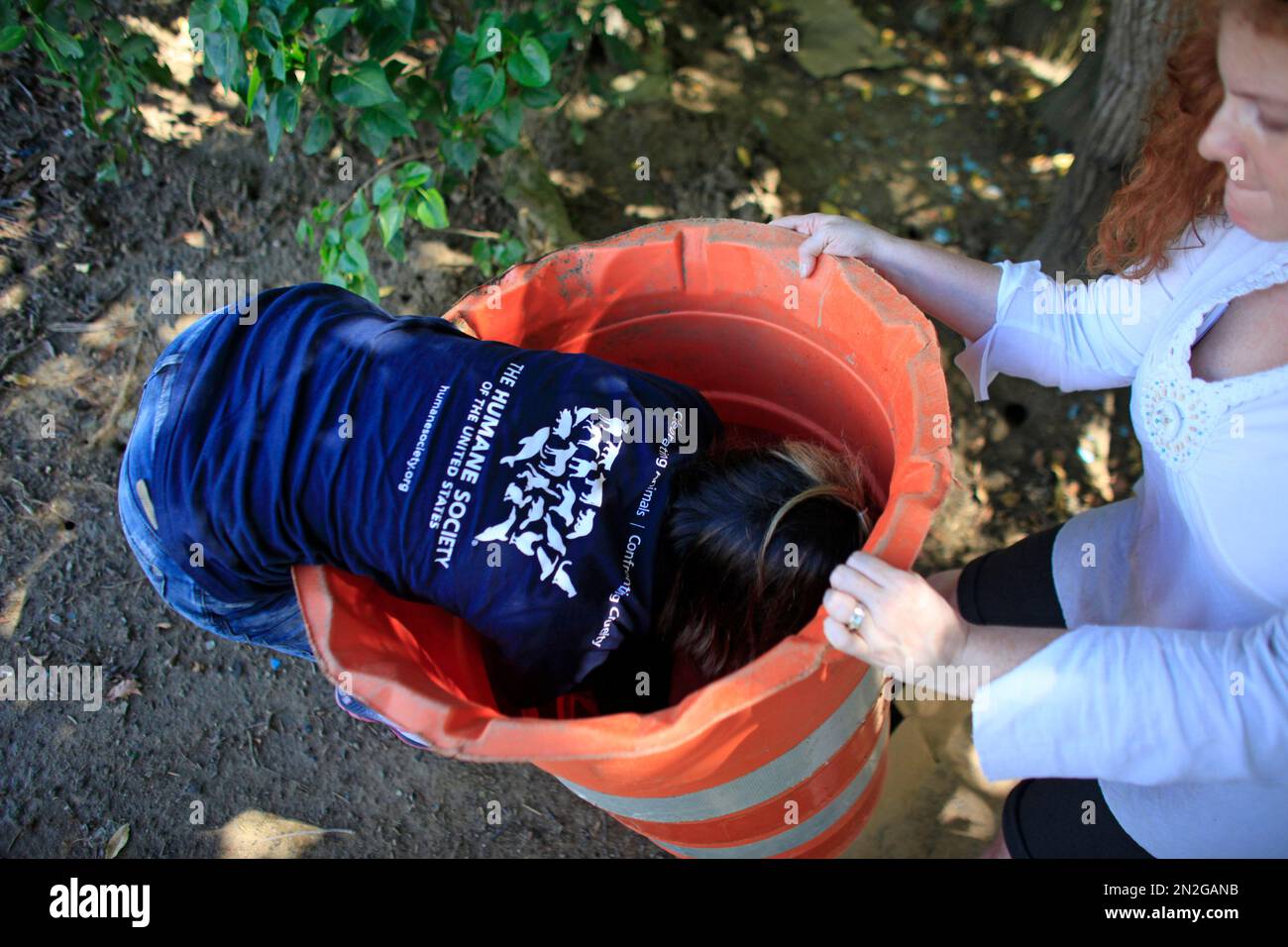 The Humane Society of the United States is working with the Puerto ...