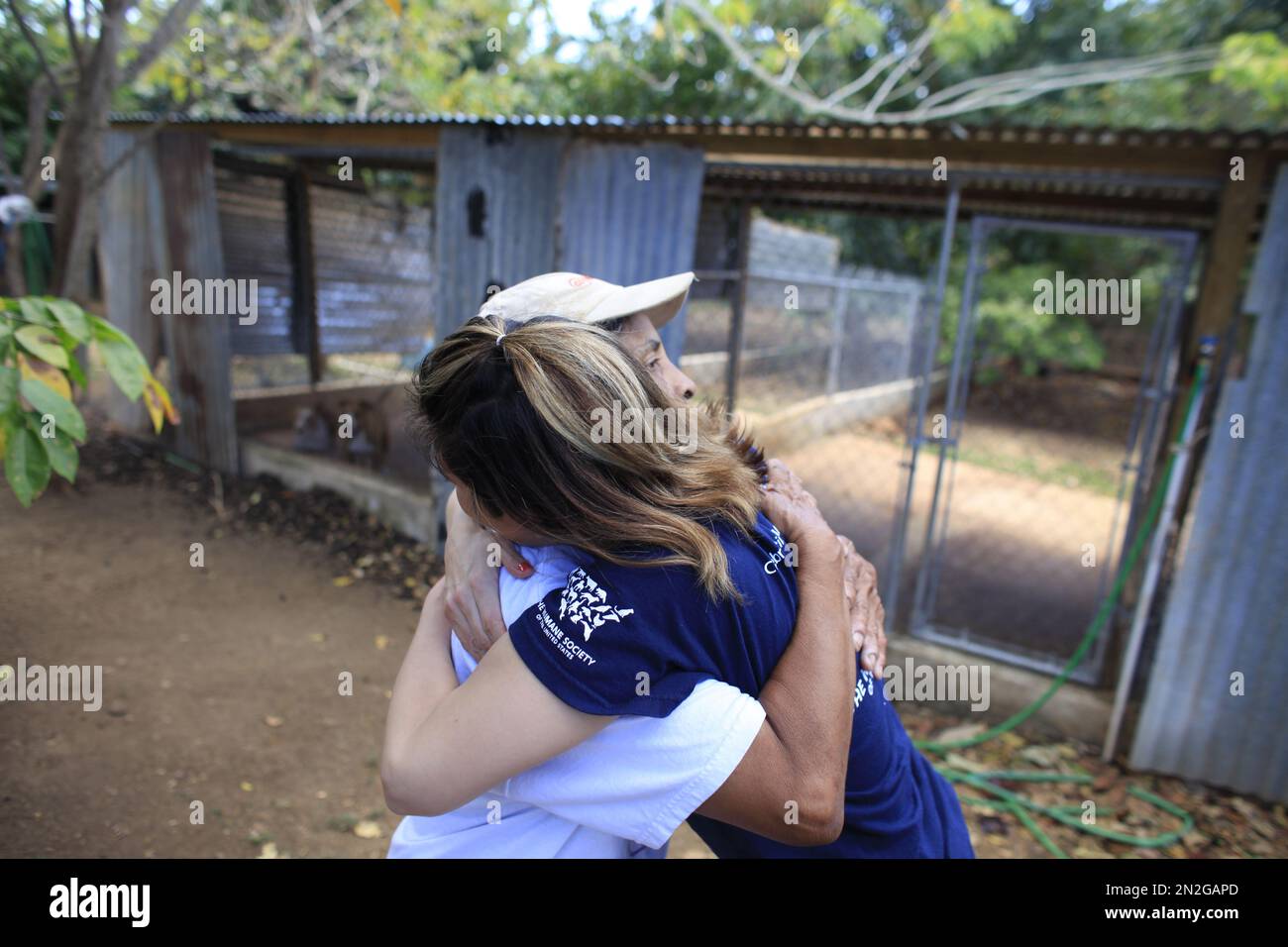 The Humane Society of the United States is working with the Puerto ...