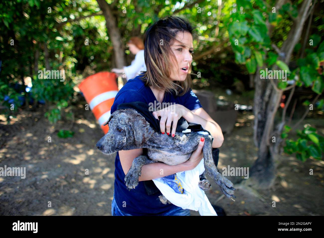 The Humane Society of the United States is working with the Puerto ...