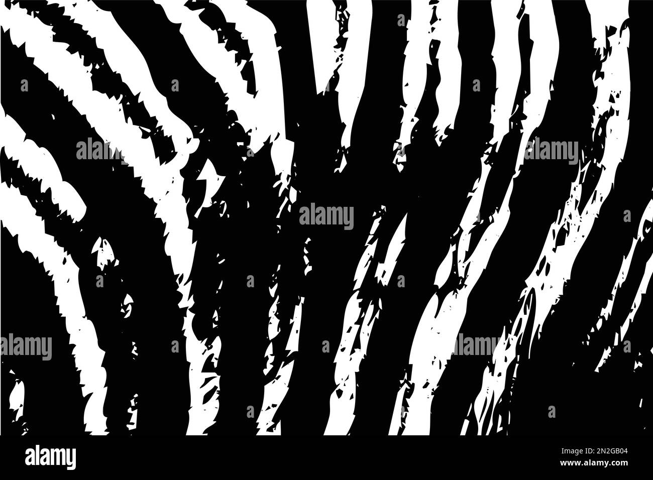 Black and white grunge background with scratch effect. Tiger skin ...