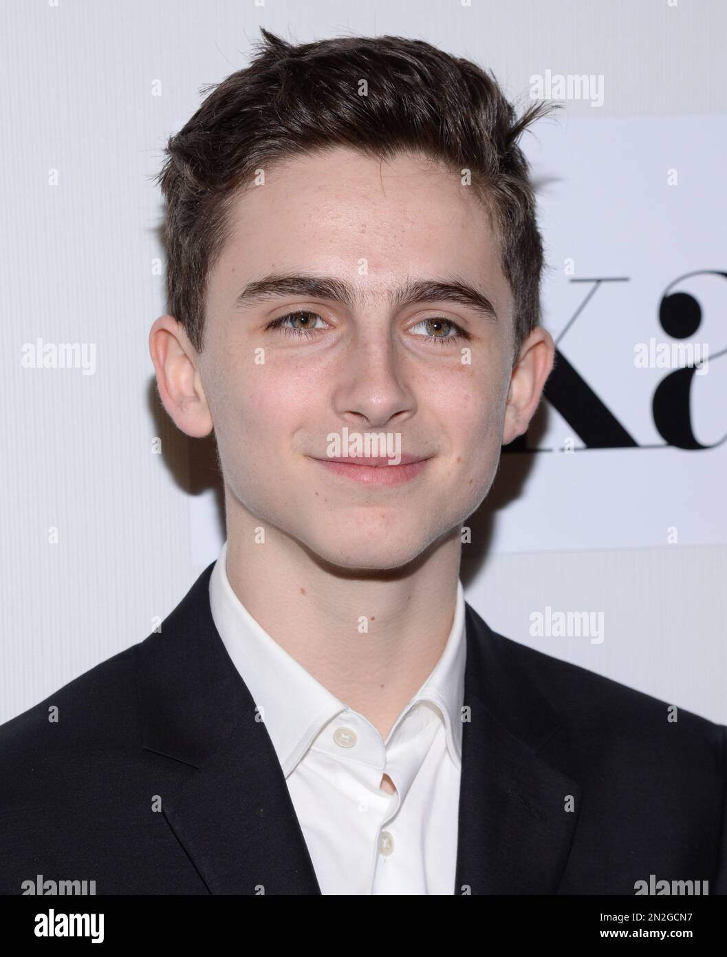 Actor Timothee Chalamet attends the Tribeca Film Festival world ...