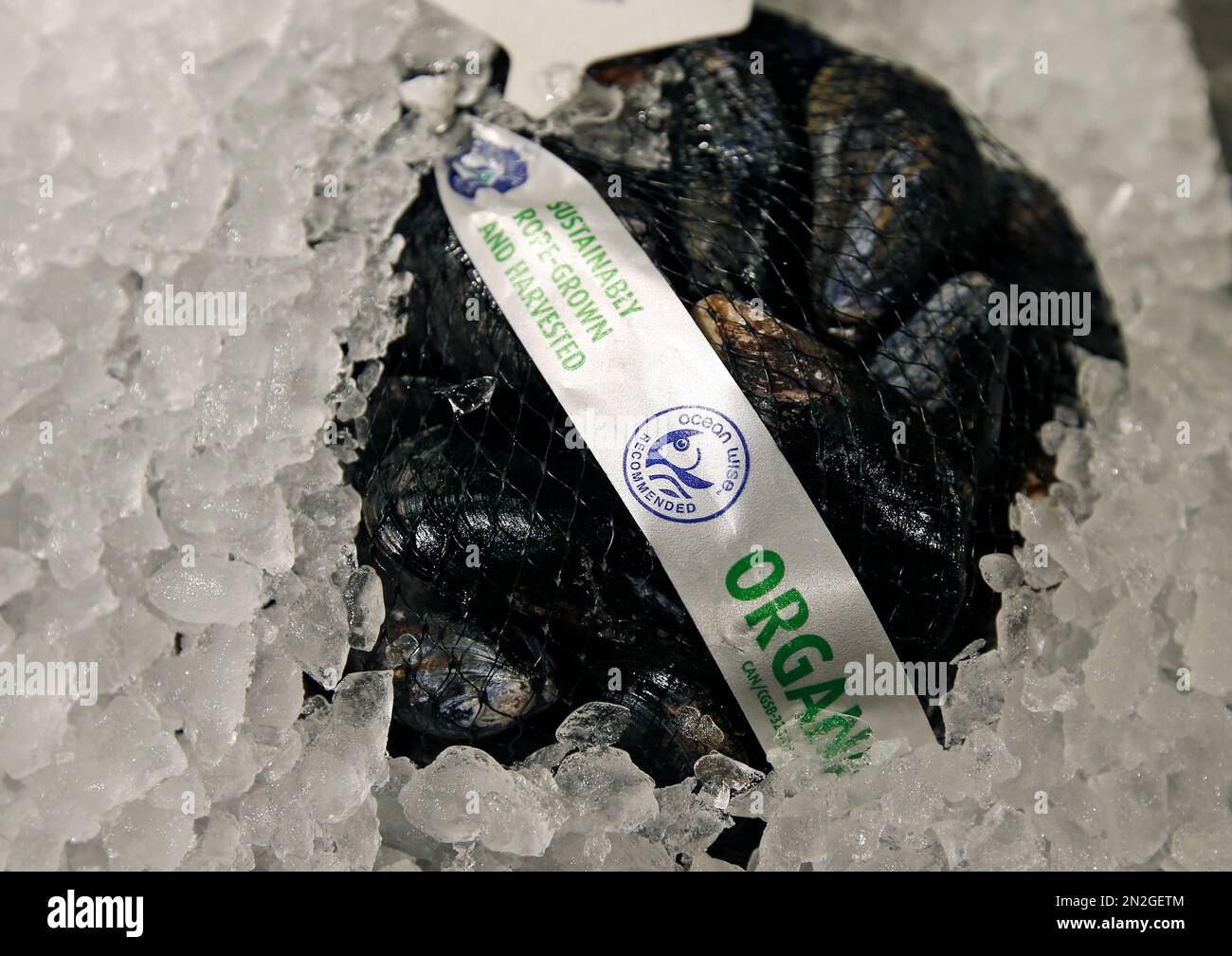 Canadian certified organic mussels are for sale at the Wegmans, Friday ...