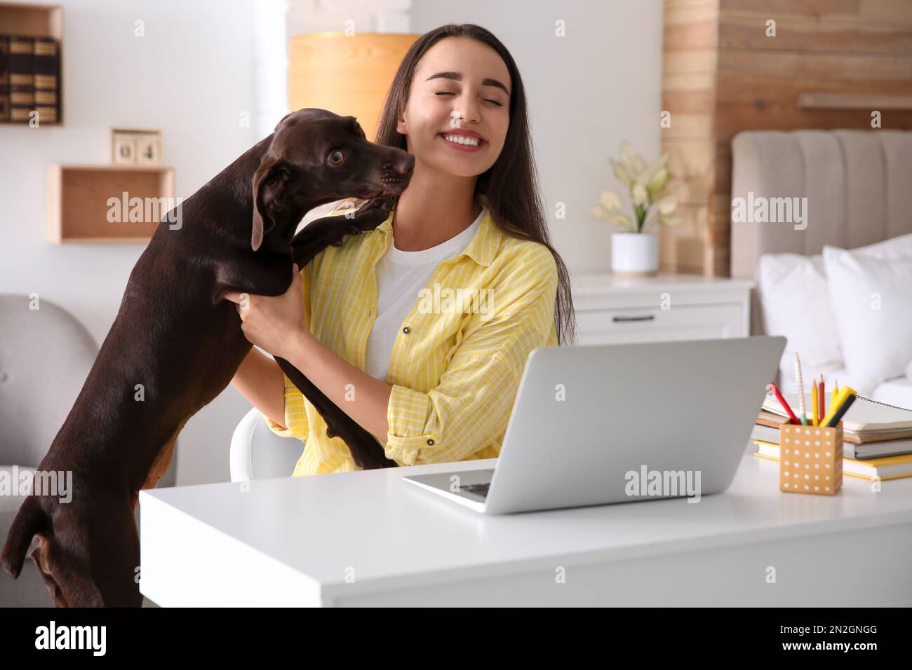Young woman getting distracted by her dog while working with laptop in ...