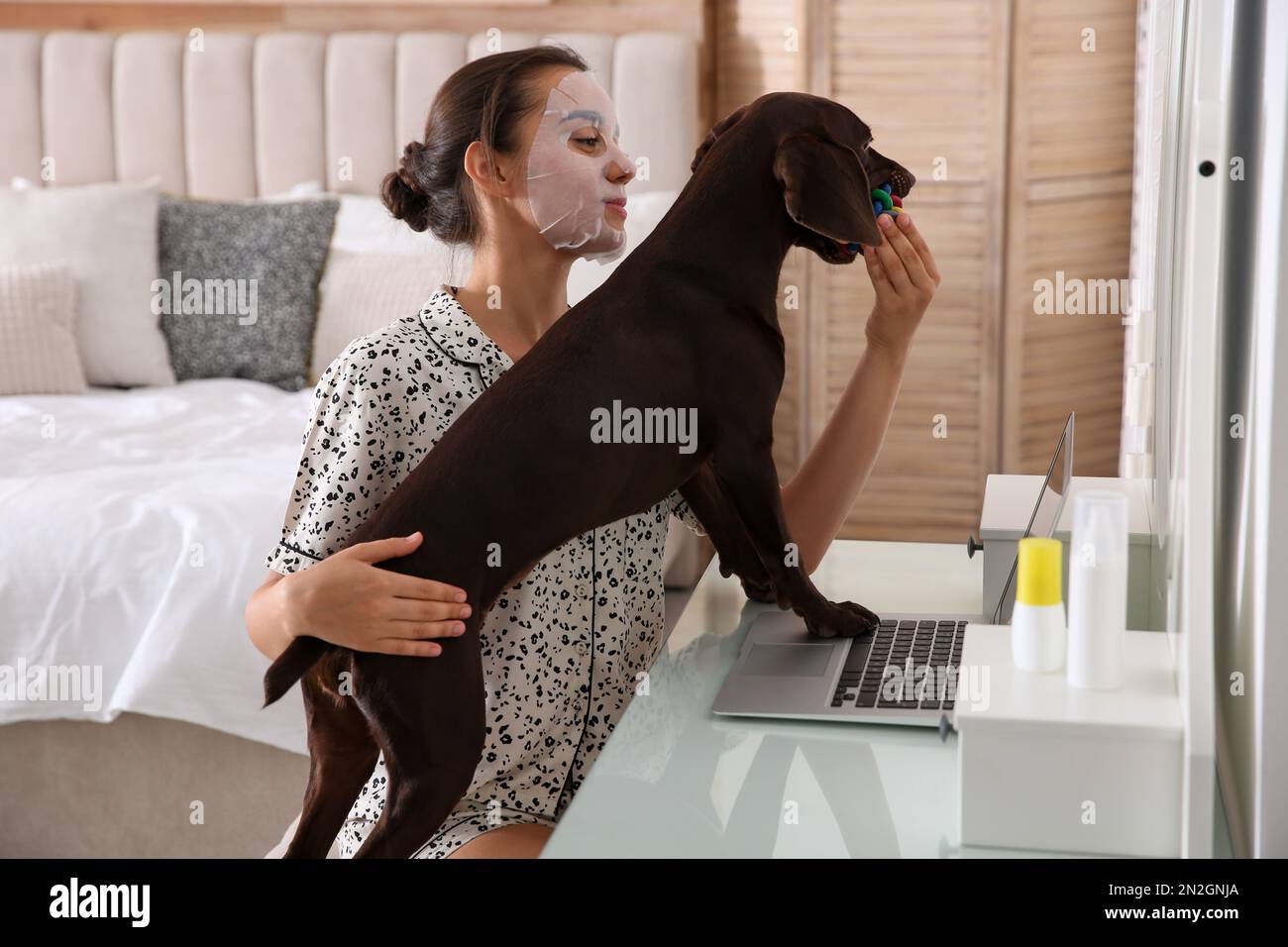Young woman getting distracted by her dog while working with laptop in ...