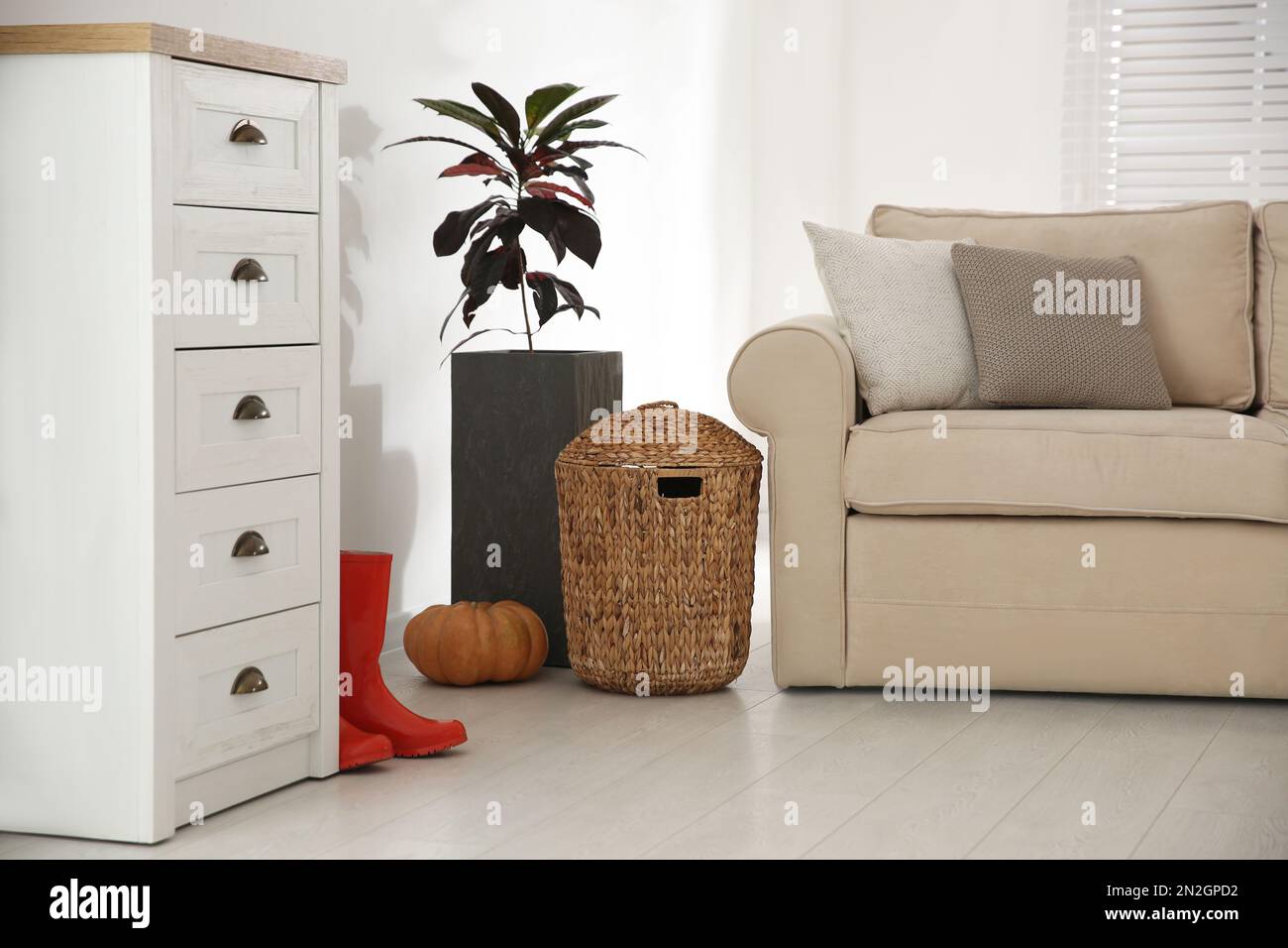 Cozy living room interior inspired by autumn colors Stock Photo - Alamy