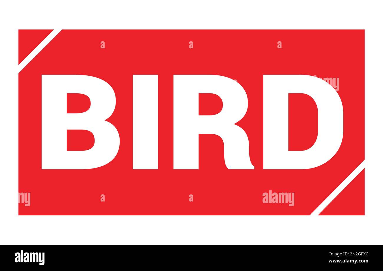 BIRD text written on red rectangle stamp sign Stock Photo - Alamy