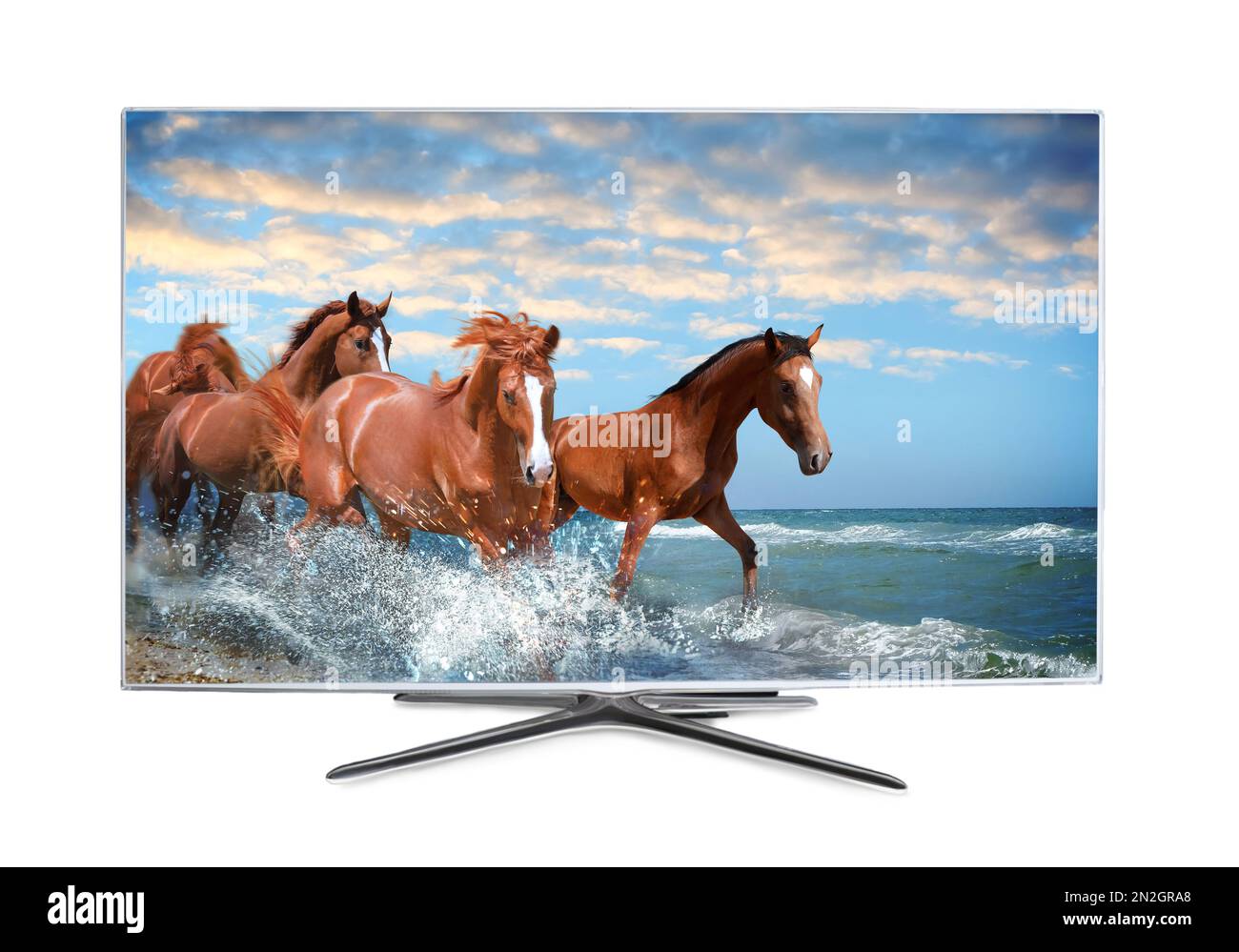 Modern wide screen TV monitor showing horses running near sea, isolated ...