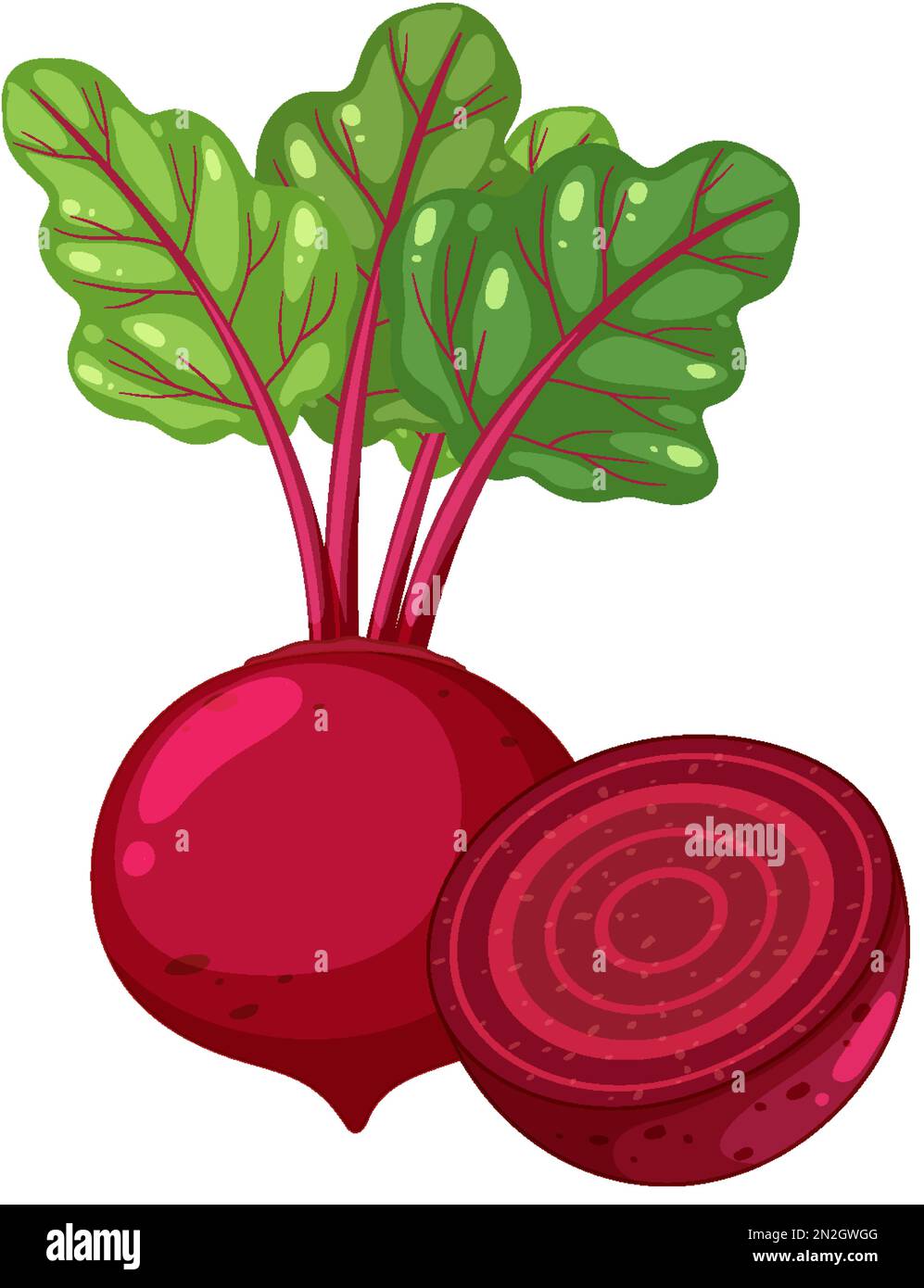 Beetroot Clipart