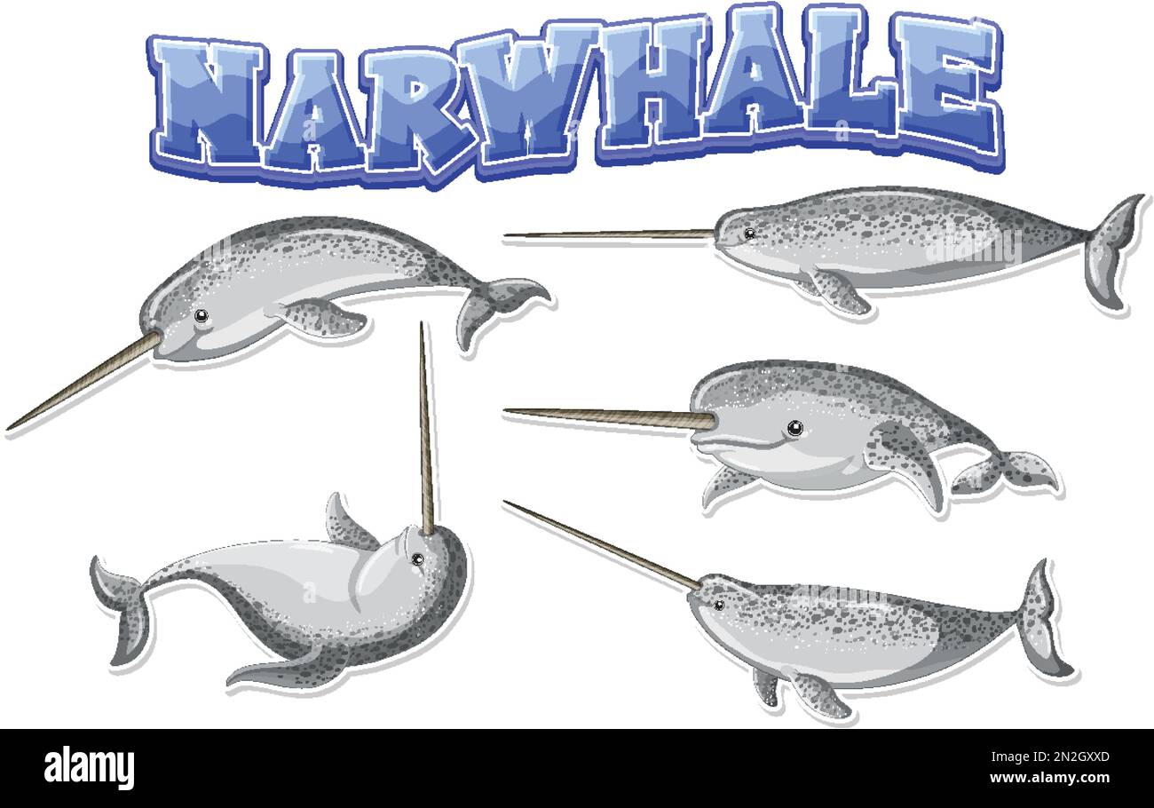 Narwhale cartoon character in different poses illustration Stock Vector ...